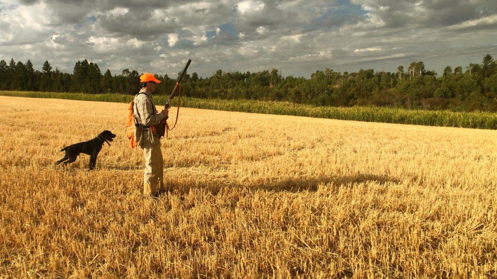 Driven Pheasant Hunting in the U.S. | Lazy Triple Creek Ranch