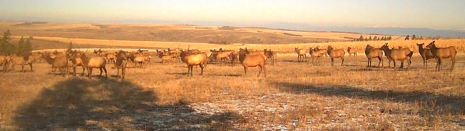 Lazy Triple Creek Ranch | An Authentic Western Retreat Dedicated to ...