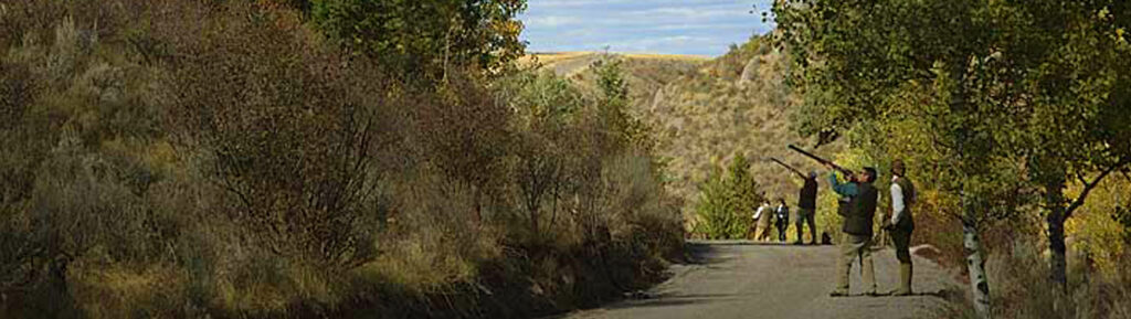 Lazy Triple Creek Ranch | Luxury Pheasant Hunting Lodge
