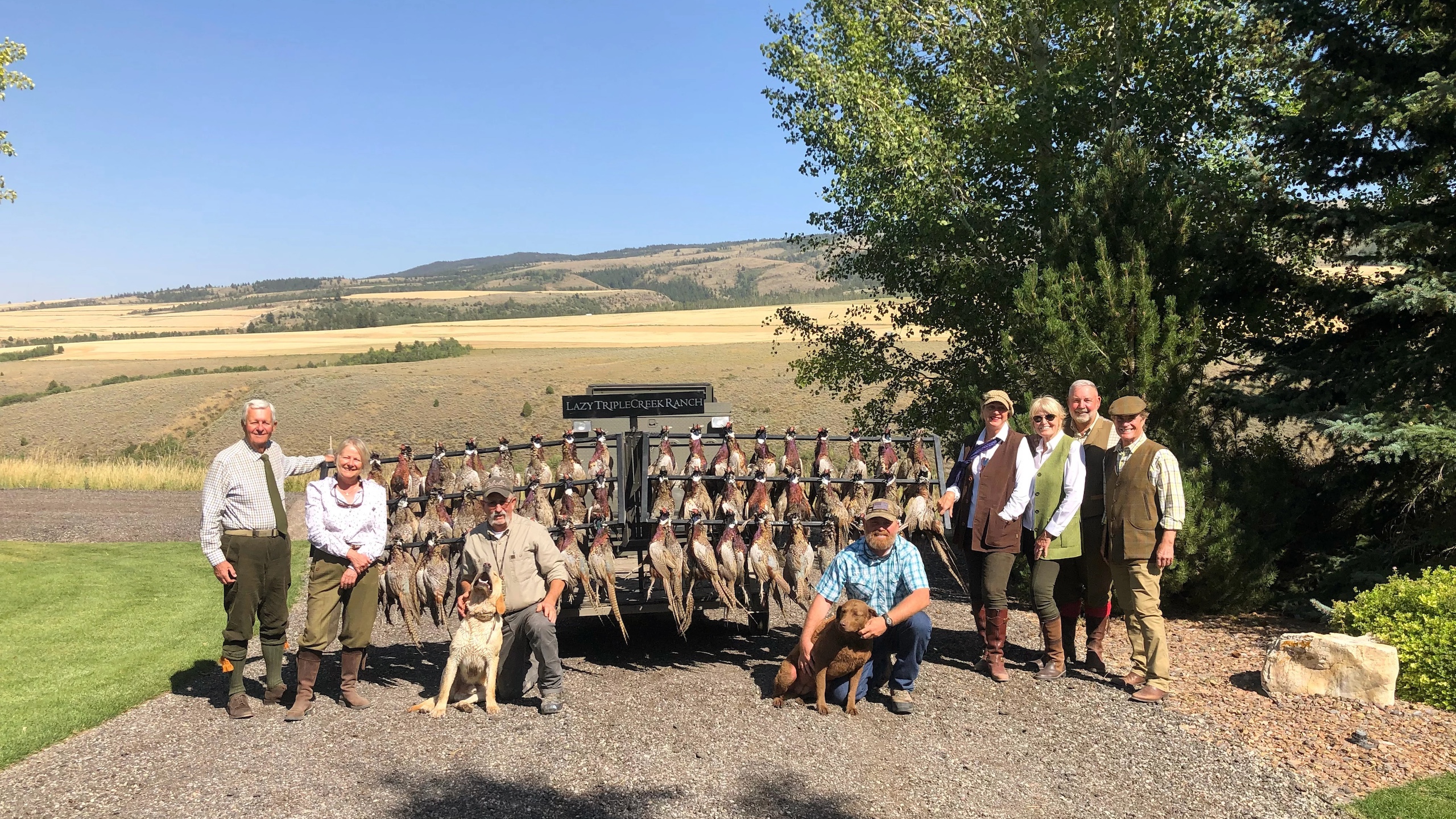 Driven Pheasant Hunting in the U.S. | Lazy Triple Creek Ranch